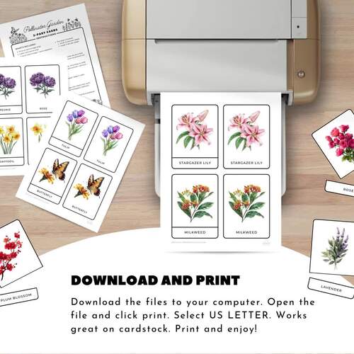 Pollinator Garden 3-Part Cards, Montessori Science Vocabulary, Flowers ...