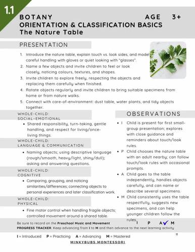 Montessori ECE PRESCHOOL COMPLETE BOTANY CURRICULUM (Ages 3–6) | TPT