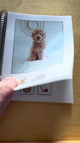 AAC Core Word of the Week ON Curriculum Adapted Book Task Cards Autism