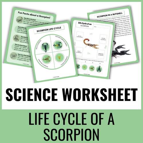 Scorpion Life Cycle Worksheet | Animals Unit Study With Fun Facts!