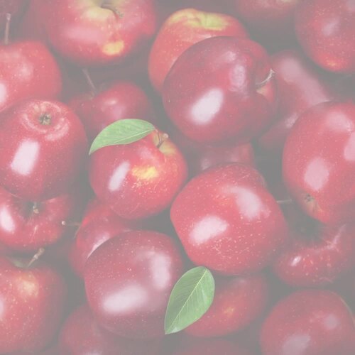 Cut & Paste Fall Activities | Pumpkin, Squash, Pear, Mushroom, Acorn ...