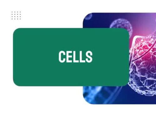AP Biology Unit 2: Cells Complete Unit Bundle by READ WRITE AND LEARN ...