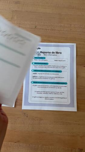 Reporte de libro informativo (SPANISH Informational Book Report)
