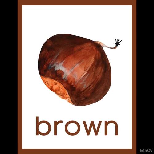 Color Names Classroom Posters — Fruit Theme by The Numerical Nook