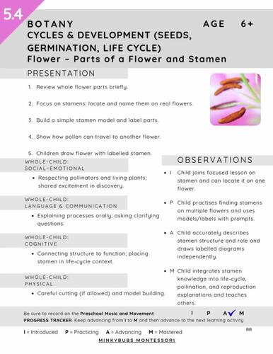 Early Years Botany Montessori: Cycles & Development (Seeds) Manual Lessons