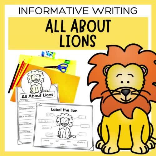 Lion Information Report | African Animal Informative Writing | Zoo Animals