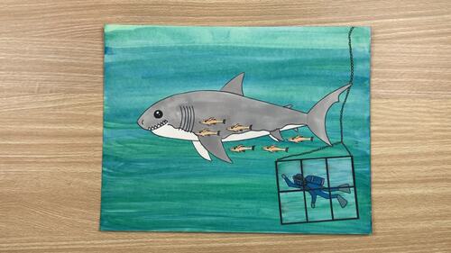 Great White Shark Animal Science Art Center Activity Directed Drawing