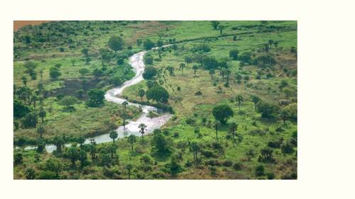 Home of the Brave - Interactive Read Aloud by Let's Taco Bout Teaching