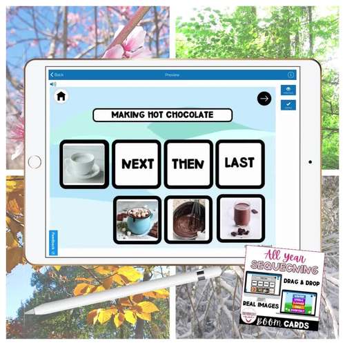 Sequencing All Year Boom Cards (winter, spring, summer, fall, & everyday)