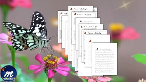 Reading, Writing, and More Butterfly Activity Pack in Print and Cursive