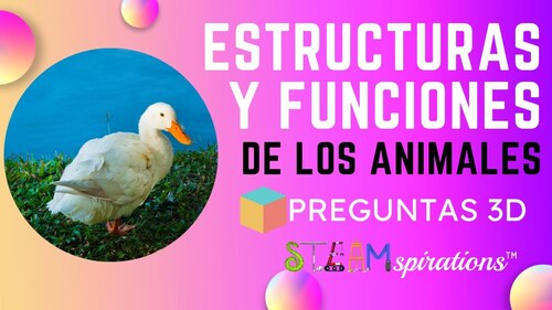 Cómo las Estructuras y Funciones Ayudan a los Animales y Plantas a ...