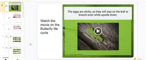 Butterfly Life Cycle for Special Education PRINT AND DIGITAL | TpT