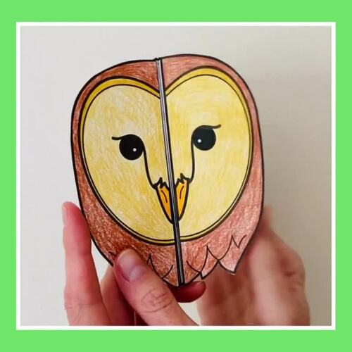 Life cycle of an owl foldable sequencing science activity cut and paste