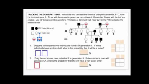 Pedigree Practice by iLearn Science | TPT
