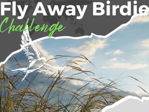 Fly Away Birdy Challenge by Saskatchewan Mining Association | TPT