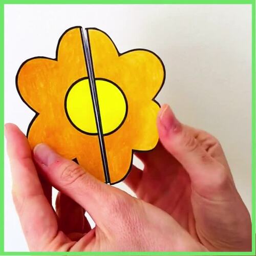 How to grow a flower foldable sequencing activity DOLLAR DEAL | TPT