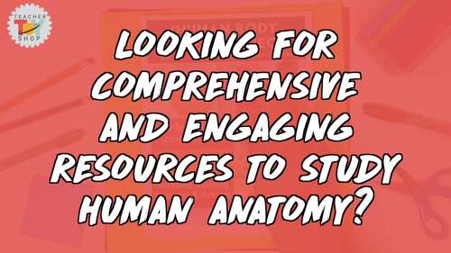 Human Body Systems Projects Bundle - Organ and Skeletal Systems STEAM ...