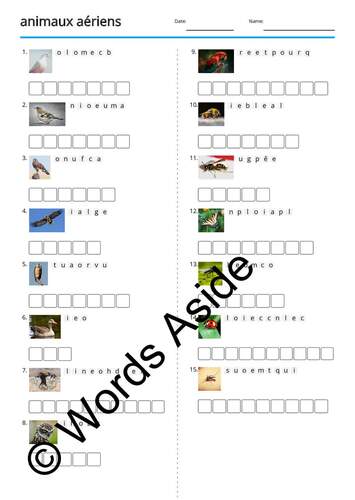 French Vocabulary Puzzles Word Search Crossword Anagram by Words Aside