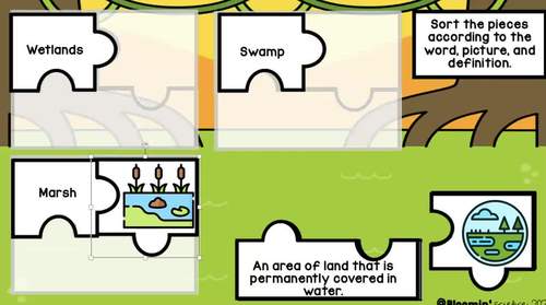 Wetlands Biome | Puzzle Sort | Digital Activity | Task Cards | ESL