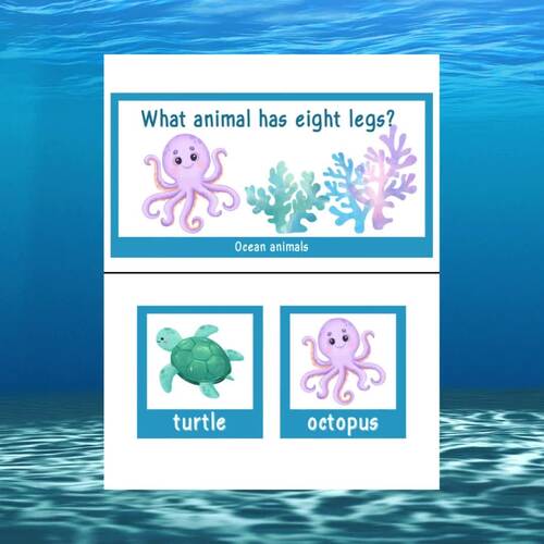 Question of the day preschool April, Morning meeting questions, Ocean ...