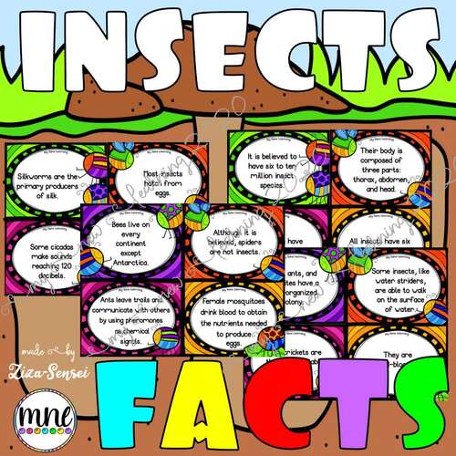 Insects Bugs Study Unit Game Included Early Science Unit by My New Learning