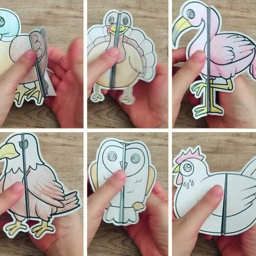 Bird Life cycle Bundle | Chicken, Turkey, Eagle, Duck, Flamingo, Owl