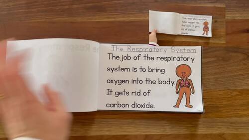 Respiratory System Mini Reader Respiratory System Activities ...