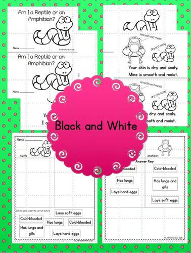 Reptiles and Amphibians Emergent Reader Kindergarten First Second ESL ...