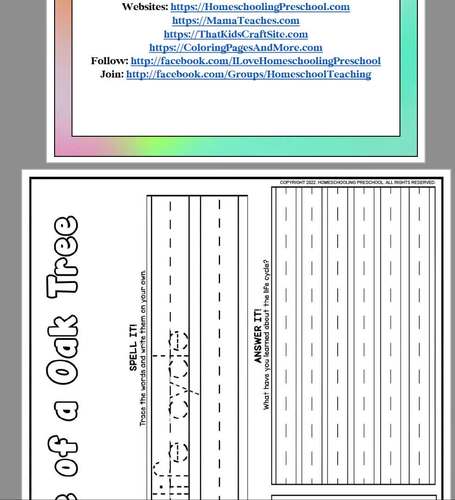 Oak Tree Life Cycle Activity Sheets by HomeschoolingPreschool | TPT