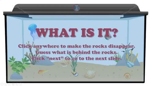 Summer Time - What is it? by Power to the Point | TPT