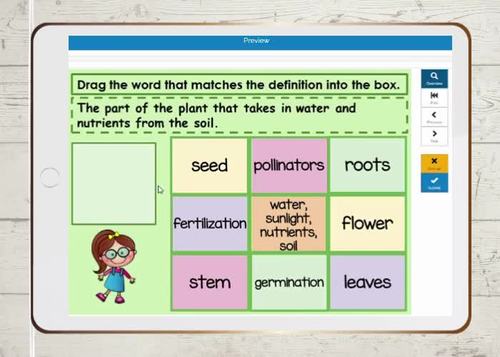 Plant Vocabulary (BOOM CARDS) by Living and Loving Primary | TPT