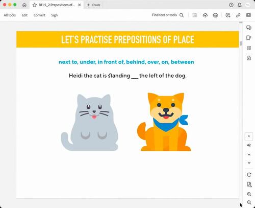 ESL Intermediate Prepositions & Happiness Bundle by ESL Class Workshop