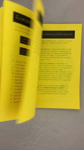 Para Handbook Editable by Exceptional Education Guides | TPT