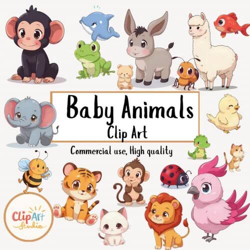Baby Animals Clip Art. Clip Art Studio. Set of 70. Bears, ladybug, koala