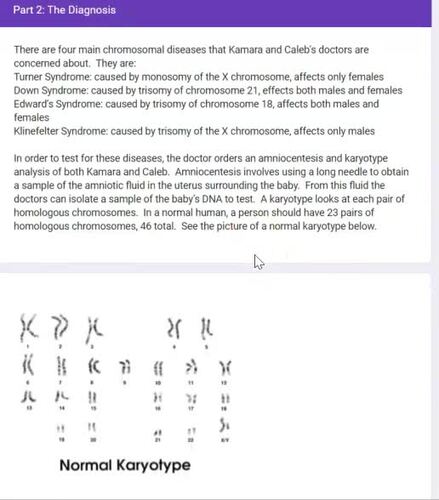 Mistakes in Meiosis Interactive Exploration and Case Study- self-checking!!