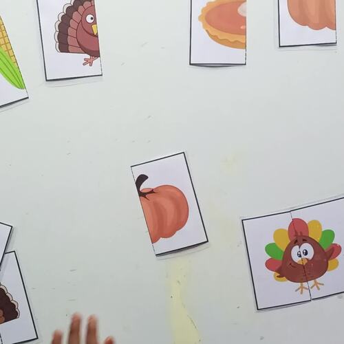 Thanksgiving Matching Activity Cards for Preschool,Homeschool Activity,Fall