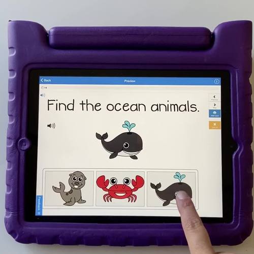 Ocean Animals Boom™ Cards Activity by Full SPED Ahead -- Heather Cacioppo