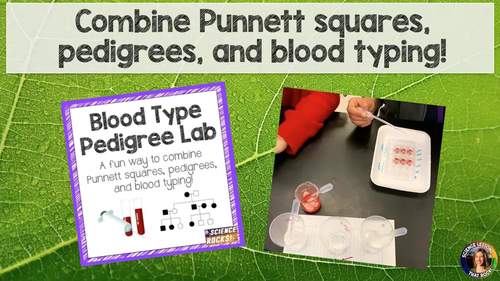 Blood Type Pedigree Lab | Genetics Activity by Science Lessons That Rock