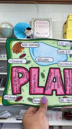 Plant Cells Organelles Diagram, Labeling Project Activity, Craftivity ...