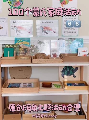 3-6 Montessori-inspired Bilingual Sea Turtle Theme Activity Pack ...