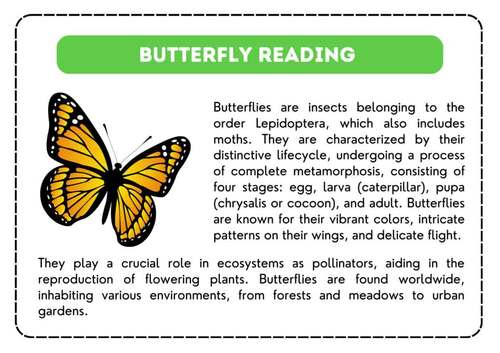 All About Butterflies, Butterfly Life Cycle with Reading Comprehension ...