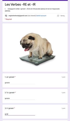 French Present Tense Regular ER | RE | IR Verb Conjugations Digital ...