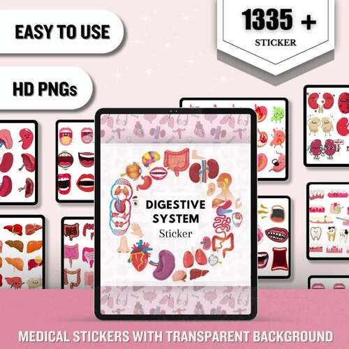 Digestive System Sticker | Human Body Stickers | Nursing Stickers ...