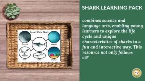 Parts of a Great White Shark Life Cycle: Montessori 3 Part Cards Facts