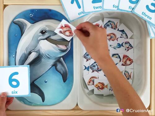 Feed the Dolphin Flisat Insert Template: Count up to 12 Activity by ...
