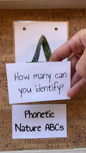 Nature alphabet letters printable - Natural Alphabet Cards by ...