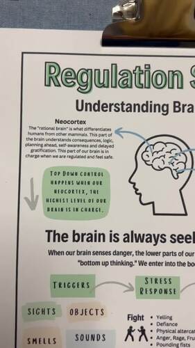 Emotional Regulation Station Bundle for High School Students | TPT
