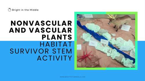Nonvascular and Vascular Plants – Habitat Survivor STEM Challenge