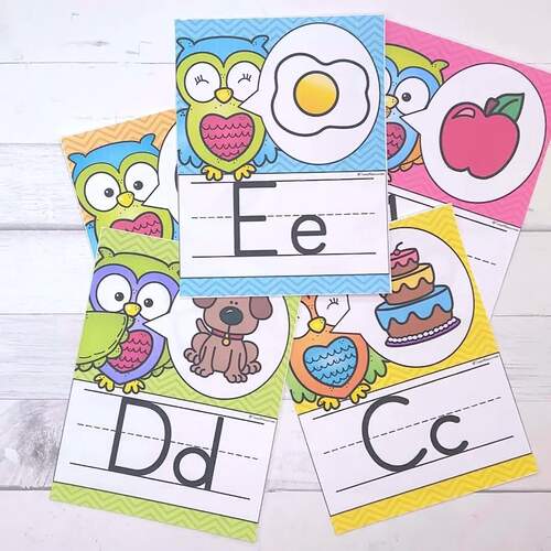 Alphabet Posters and Bunting in an Owls and Chevron Decor Theme | TPT