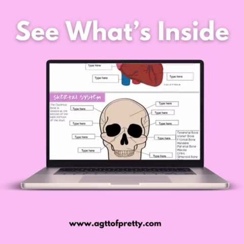 Anatomy labeling for body systems with final exam (Grades 9, 10, 11, 12)